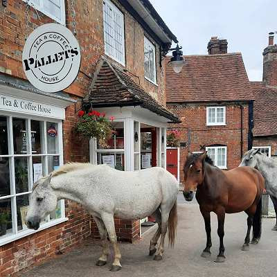 Directory - Pallets Tea & Coffee House - Beaulieu Village